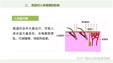 PPT 课件高温作业安全培训精51页 知乎