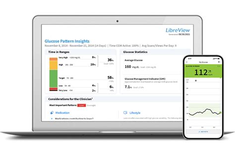 Libreview Healthcare Professionals Abbott