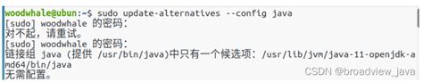 Ubuntu2004 安装和卸载openjdkubuntu Openjdk Csdn博客