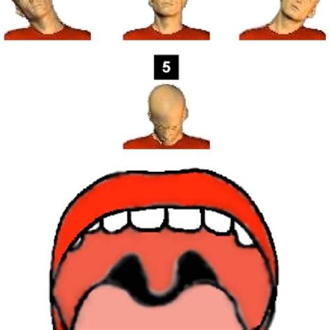 Sensory Coding Schemes For The Tongue Display Unit Tdu Lower Panel
