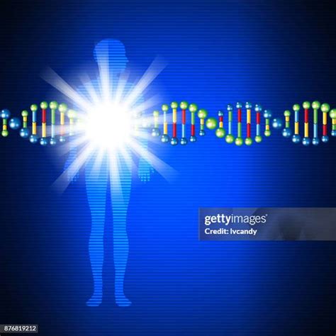 Human Dna Cells High Res Illustrations Getty Images