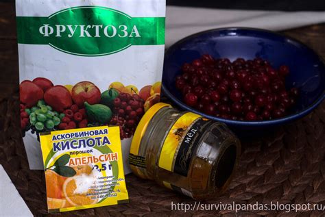 Самодельный изотоник | SurvivalPanda