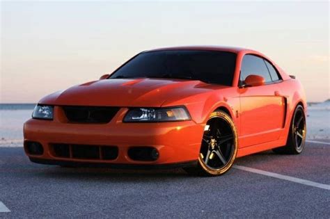 17 Best Images About Ford Svt Cobra Terminator On Pinterest Cars