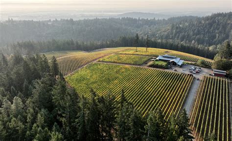 Vineyards Jk Carriere Wines