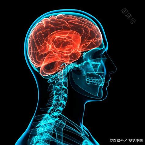 血压高到多少，才会诱发脑出血？医生给出数据话心脑血管频道东方养生