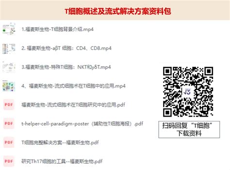 T细胞分类及标记物汇总详解版 哔哩哔哩