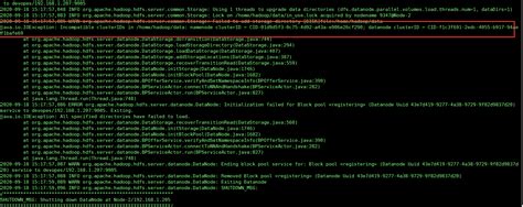 hadoop集群启动后DataNode无法启动问题 Fire Li 博客园