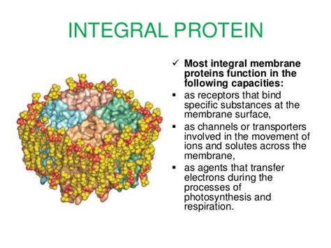 Membrane Proteins