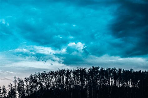 树 自然 景观 Pixabay上的免费照片 Pixabay