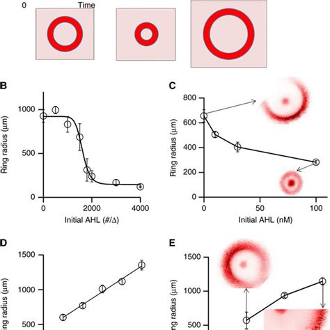 Biological Communication Systems Can Be Represented Formally A Download Scientific Diagram
