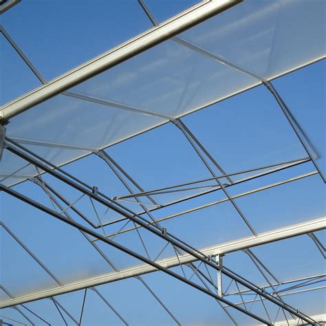 Diffuse Glass Evergreen