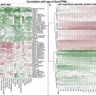 Global Shift In Gene Expression With Age A Clustered Heatmap Showing Download Scientific
