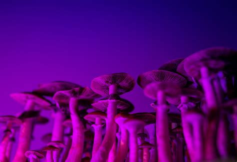 Why Europe Needs To Catch Up With Psychedelic Research