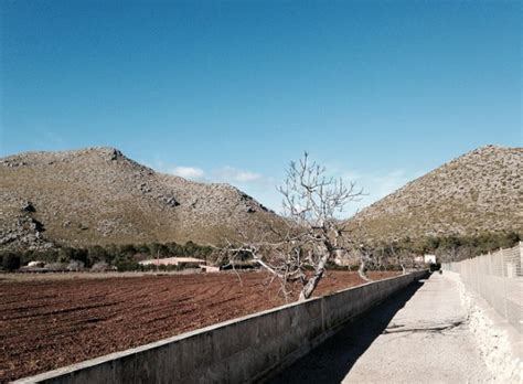 Walk From Port Pollensa To Cala San Vicente Things To Do In Puerto