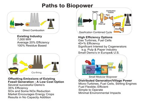 Ppt Policies And Strategies For Increased Biomass And Bioenergy Use