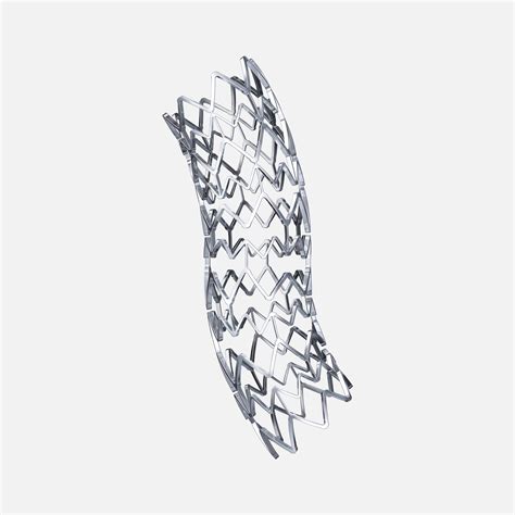 Wallstent™ Endoprosthesis Stent Boston Scientific