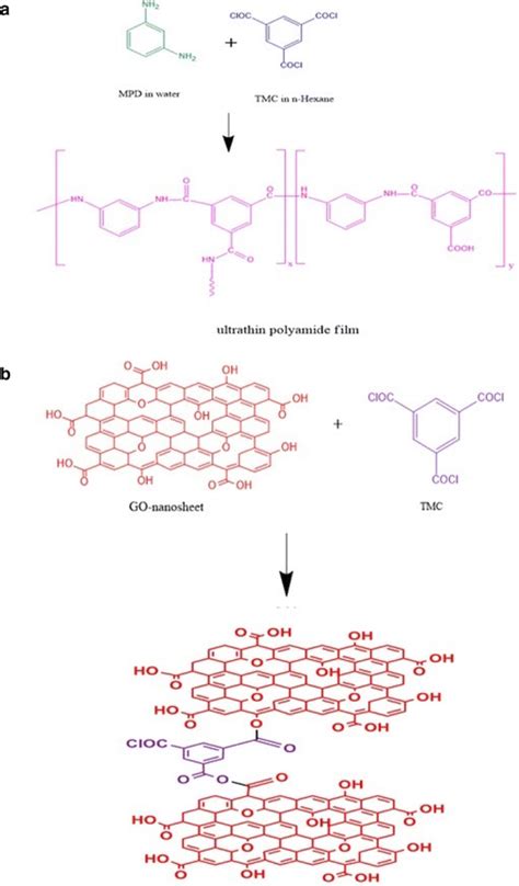 Reactions Between A Mpd And Tmc And B Tmc And Go Nanosheet Download