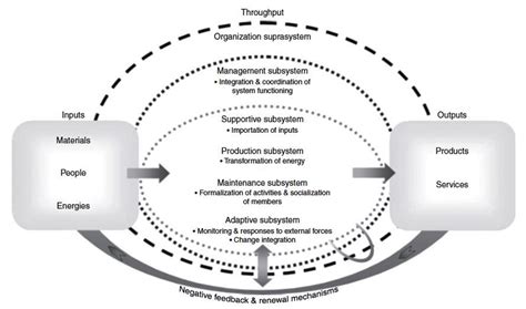 Simplified Representation Of The Organisation As An Open System Based