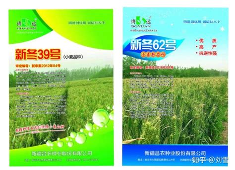 新疆昌农种业股份有限公司邀您参加新疆昌吉种子交易会 知乎