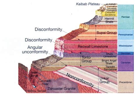 Geologic Column Answers In Genesis