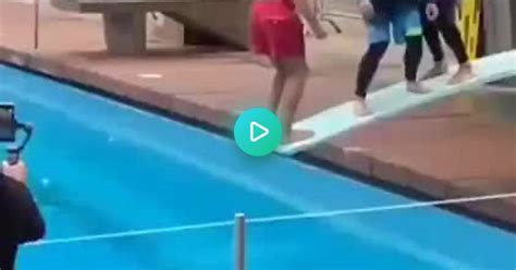 Oops Album On Imgur