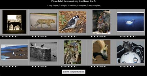 Interface Of The Complexity Labeling Experiment For The “animal