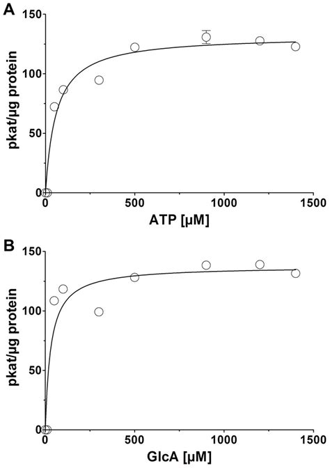 A Substrate Saturation By Michaelis Menten Curve For Atp Is Shown
