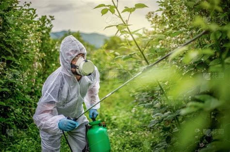 农用喷雾器 农业 部分 转基因 科学实验 仅男人 仅一个男人 黑刺莓 生物学家 植物素材 花瓣网