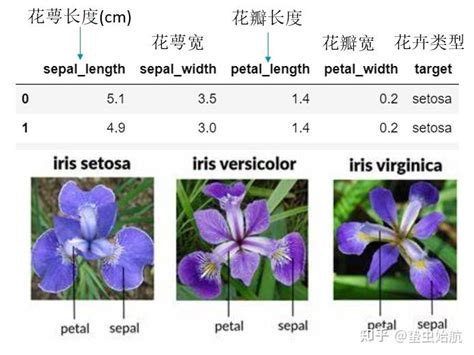 一些著名的数据科学公开数据集与数据源 知乎