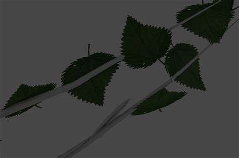 Making Leaves In Sapling Addon Modeling Blender Artists Community
