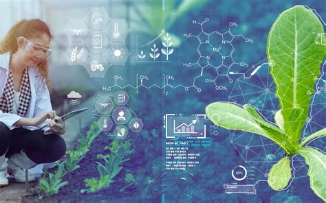 Research Web Design And Branding By Arttia Creative