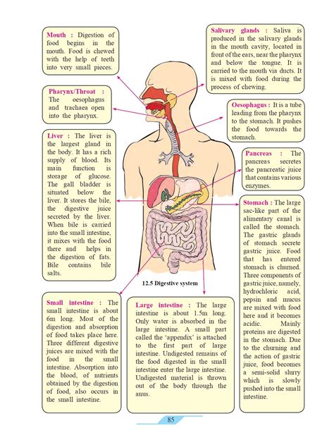 Maharashtra Board Th Standard Science Book PDF AglaSem