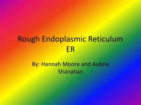 Ppt Rough Endoplasmic Reticulum Er Powerpoint Presentation Free