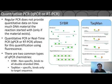 Free Video Droplet Microfluidics In Pcr Technology And Applications