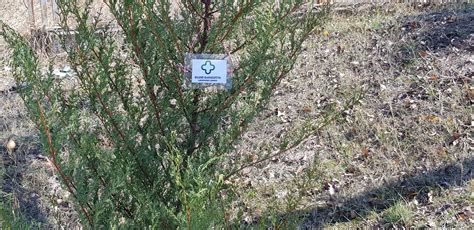 დავით ტატიშვილის ჯანმრთელობის ცენტრი • David Tatishvili Health Center Tbilisi