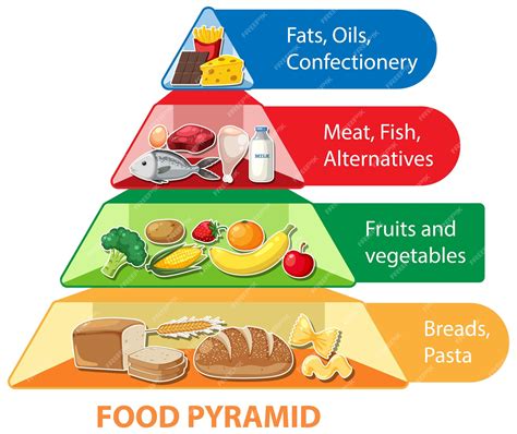 Premium Vector Cartoon Food Pyramid Nutrition Infographic