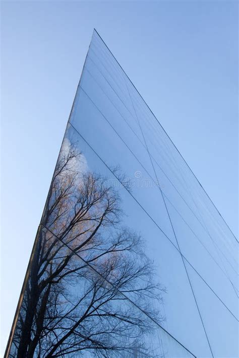 Glass Facade And Reflection Of Trees Stock Image Image Of Abstract