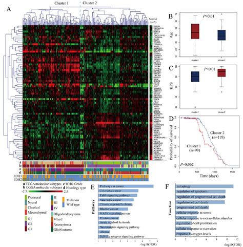 Figure 1 From Autophagy Related Gene Expression Is An Independent