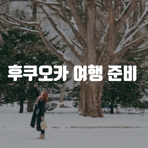 후쿠오카 여행 준비 정리 총 비용 항공권 숙소 호텔 백신 유심 산큐패스 입국 준비 네이버 블로그