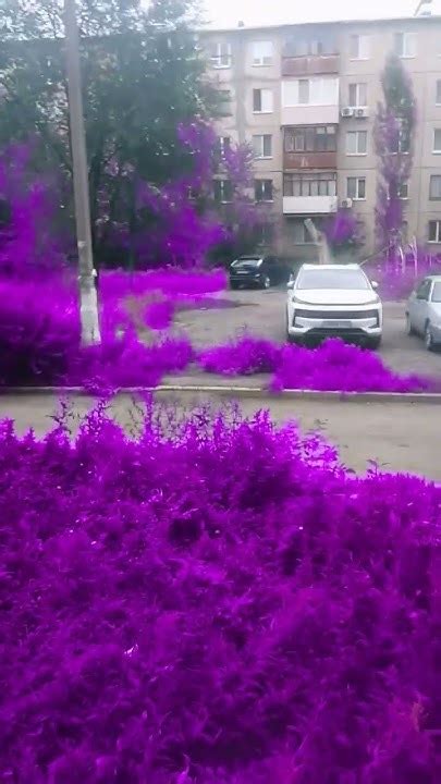 кинито Youtube