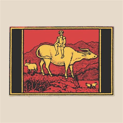 Premium Vector Cow Farm Match Box Label Retro Logo Old Vintage