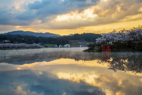 （2022）中国・四国地方で桜・お花見が楽しめる公園特集【鳥取・島根・ 岡山・広島・山口・香川・徳島・愛媛・高知】｜公園専門メディアparkful