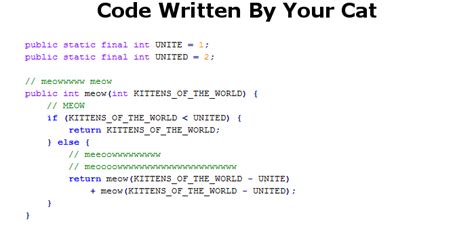 Code 如其人》六組程式碼，看完馬上理解你的 Coding 等級在哪裡！ Techorange 科技報橘