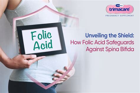 Folic Acid Preventing Spina Bifida In Pregnancy Plusplus Lifesciences