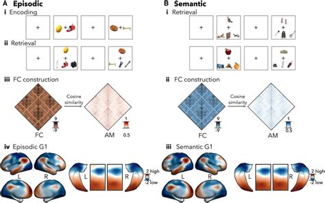 Differential Reorganization Of Episodic And Semantic Memory Systems In Epilepsy Related