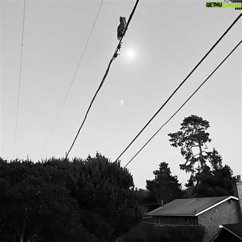 Natas Kaupas Gethu Cinema