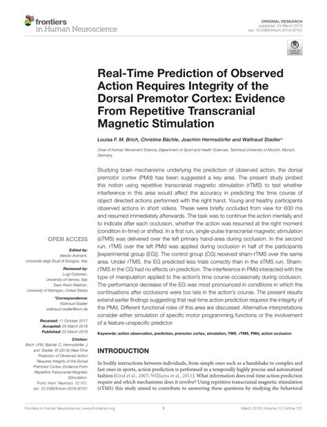 Pdf Real Time Prediction Of Observed Action Requires Integrity Of The Dorsal Premotor Cortex