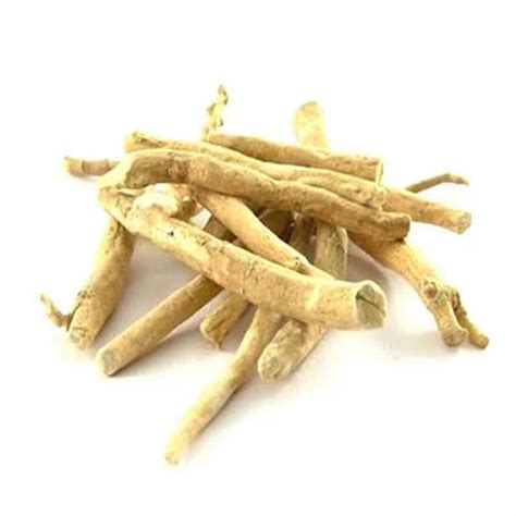 Organic Ashwagandha Root 25 Kg At ₹ 1500kilogram In Rampur Id