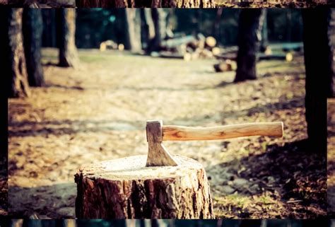 Comment Fendre Des Bûches De Bois Bricoccasions
