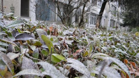 Cer Noros Si Ninsori In Nordul Tarii Cum Va Fi Vremea Astazi Dar Si In Urmatoarele Zile
